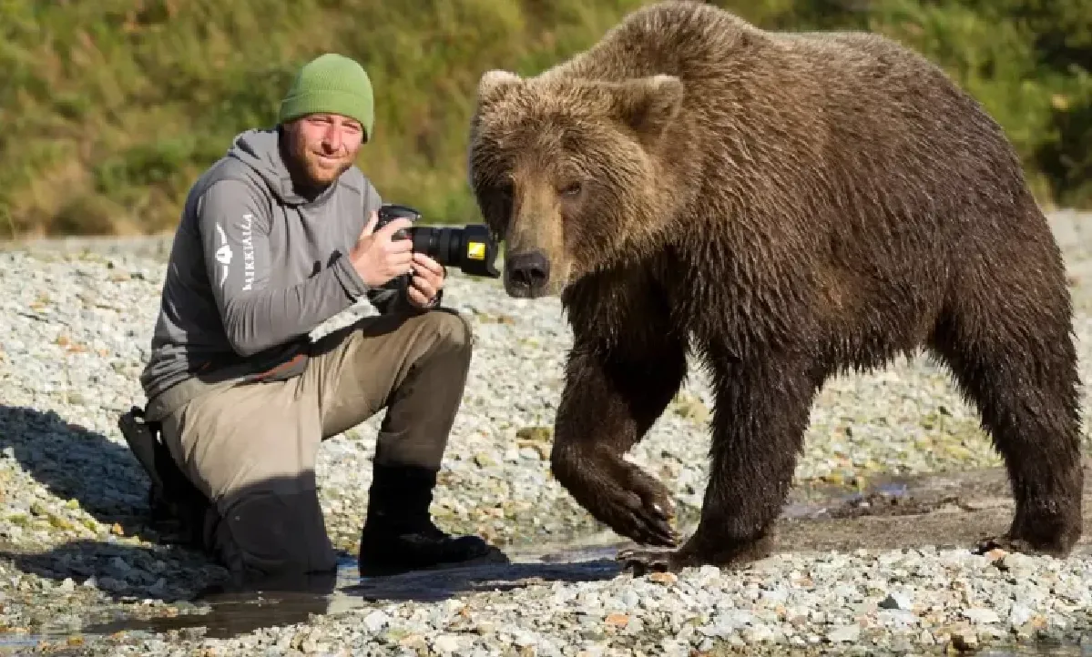 LOS OSOS y David Bittner - BEonloop