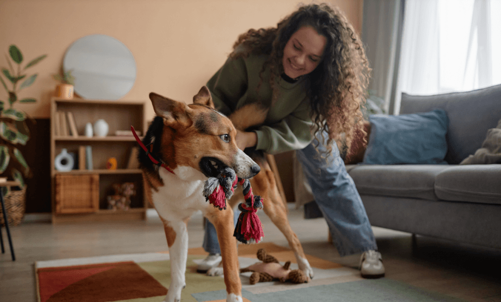 Perros superdotados: ¿Es el tuyo un genio?
