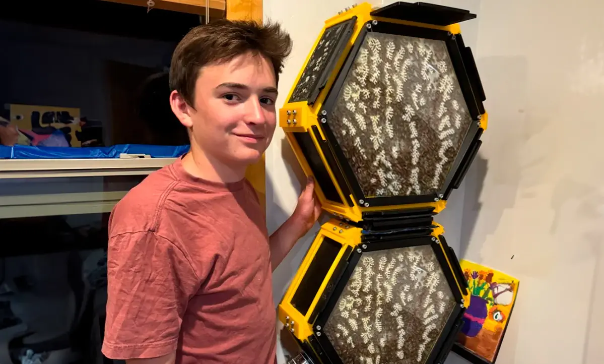 Colmena 3D: El Proyecto del Joven Oliver Taylor - BEonloop